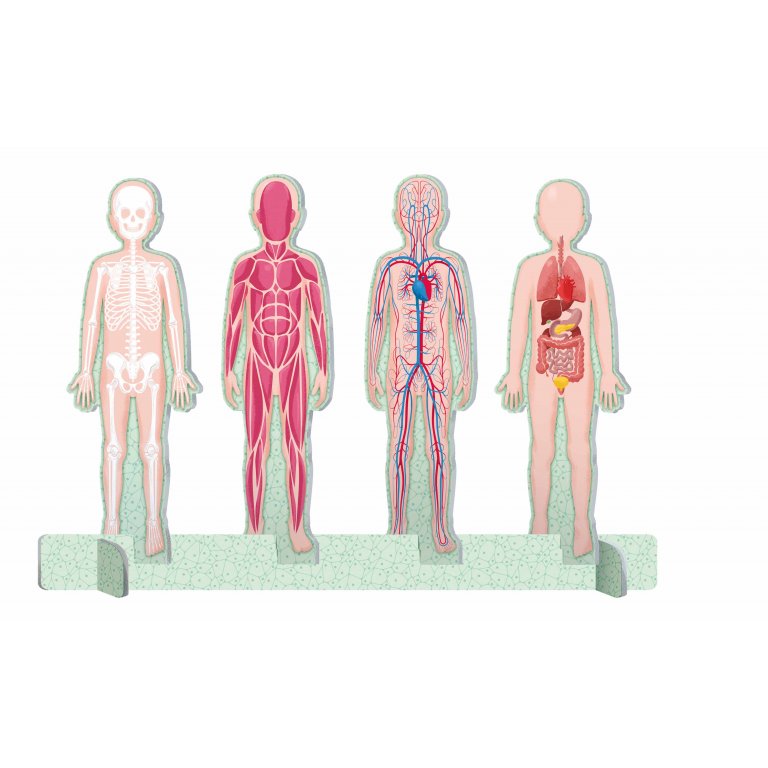 Buy Premium STEM & Educational Toys | Toybox UAE